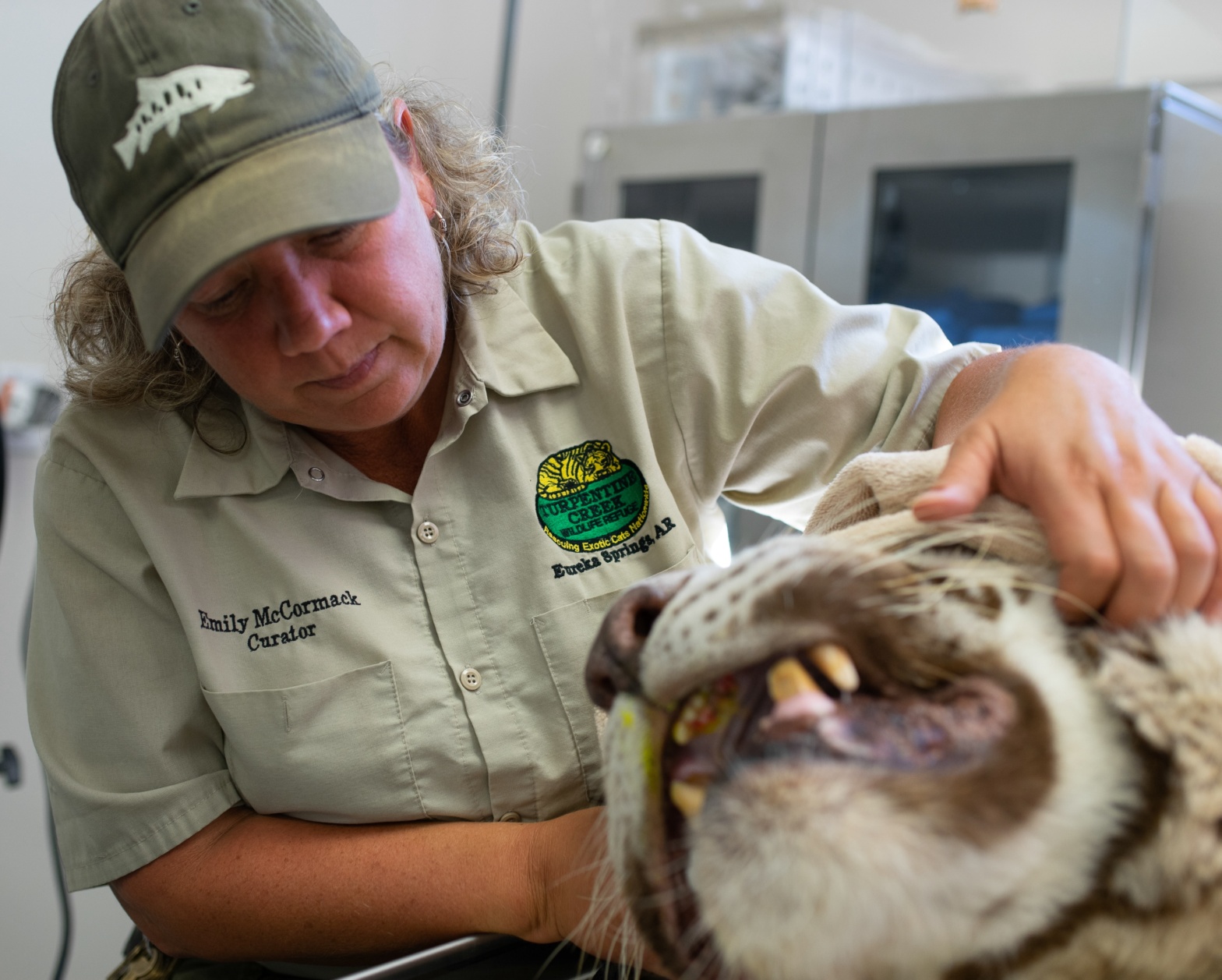 Cat Chat 2024 | Turpentine Creek Wildlife Refuge