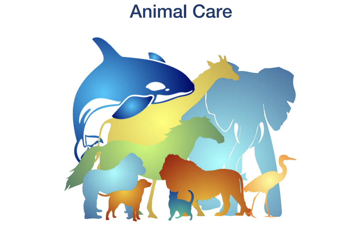 What is the “Blue Book” and why is it important | Turpentine Creek ...