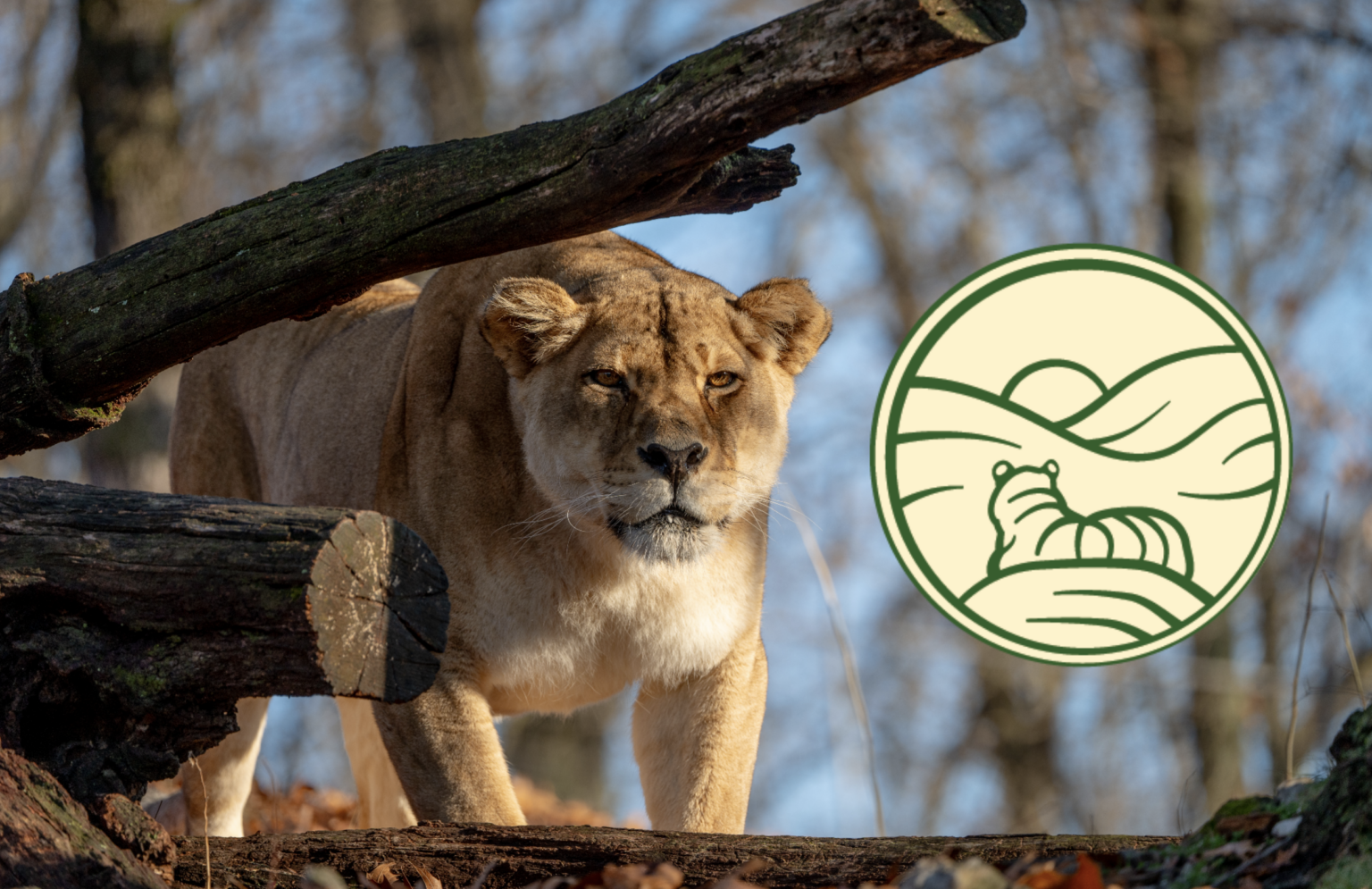 The New E.R.A of TCWR | Turpentine Creek Wildlife Refuge