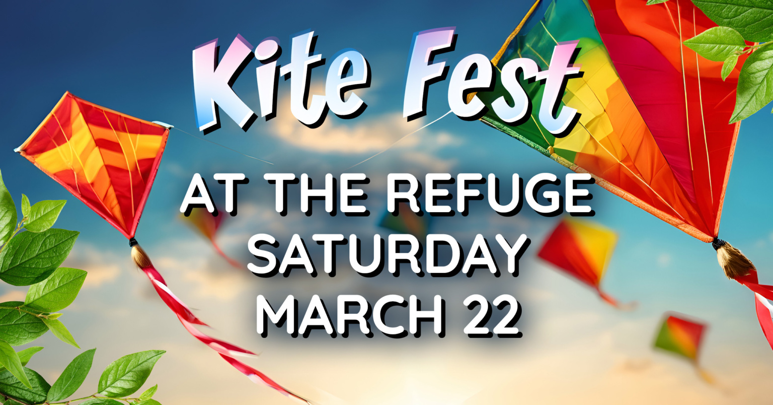 Kite Fest | Turpentine Creek Wildlife Refuge