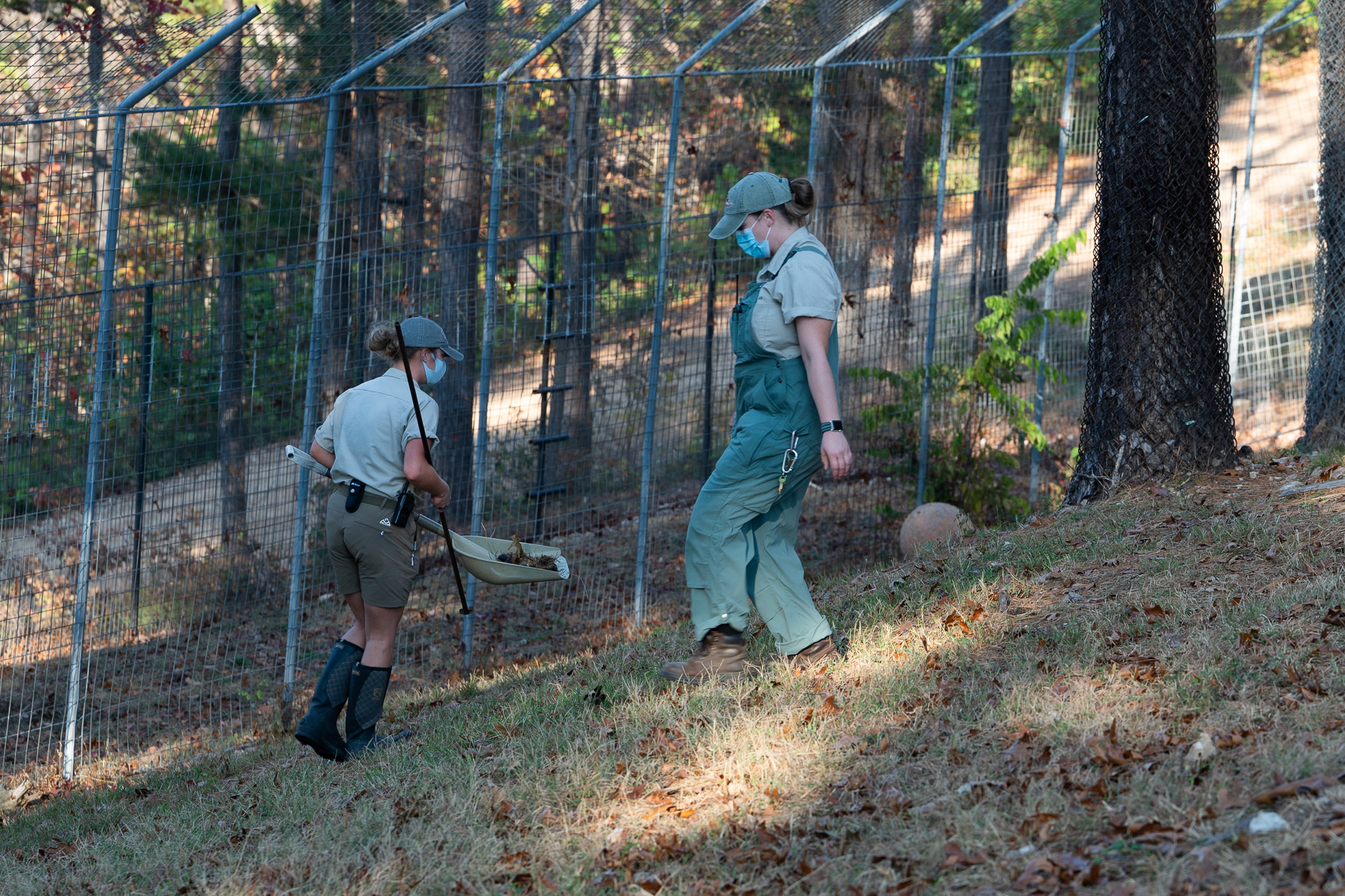 The Scoop on Poop: International Pooper Scooper Week | Turpentine Creek ...